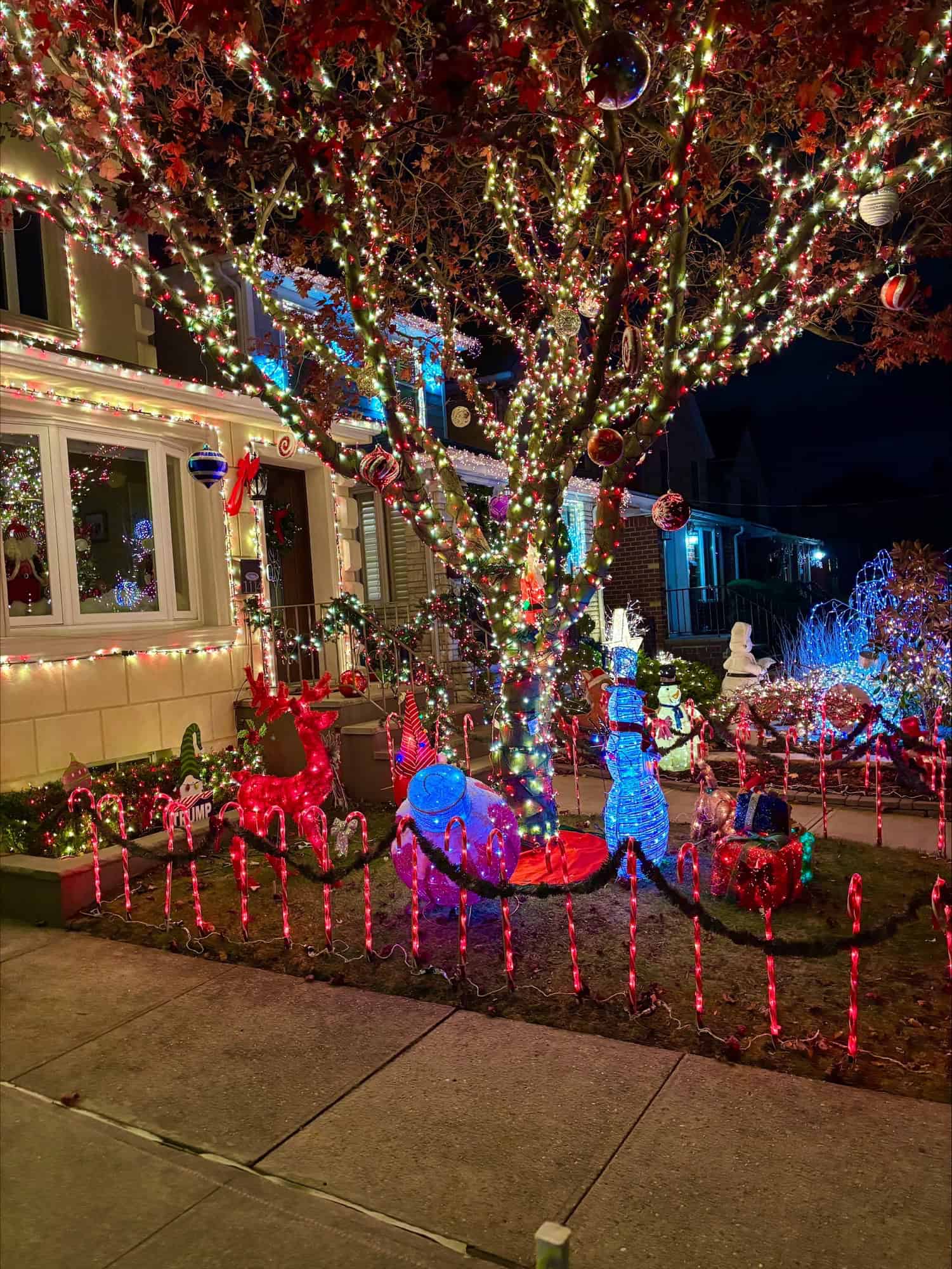 🎄Dyker Heights Lights: The Ultimate Guide to Brooklyn’s Most Magical ...
